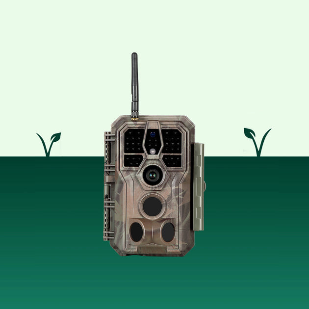 Shop Wi-Fi Trail Wildlife Cameras | 4G Trail Cameras - BlazeVideo