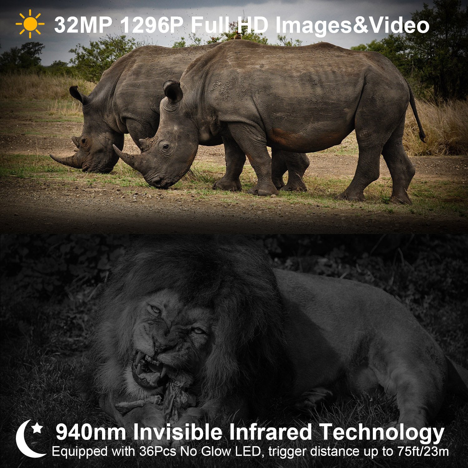 Game Trail Wildlife Deer Cameras 24MP 1296P MP4 H.264 Video No Glow ...