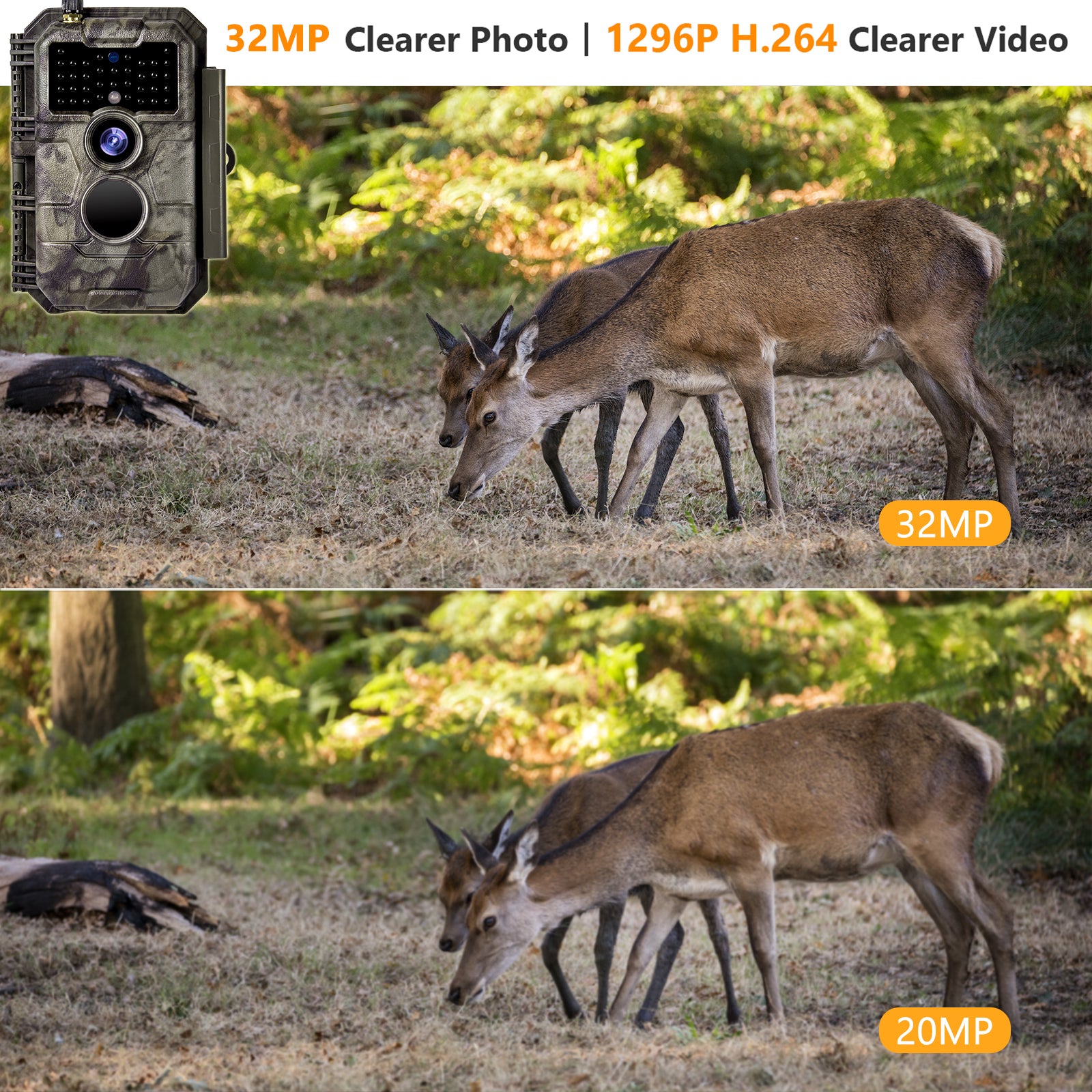 Wireless Bluetooth WiFi Game Trail Deer Camera 24MP 1296P Night Vision ...