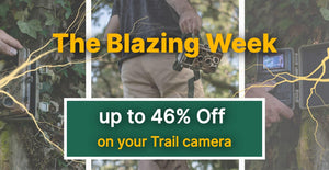 BlazeVideo Australia | Outdoor Trail & Security Cameras