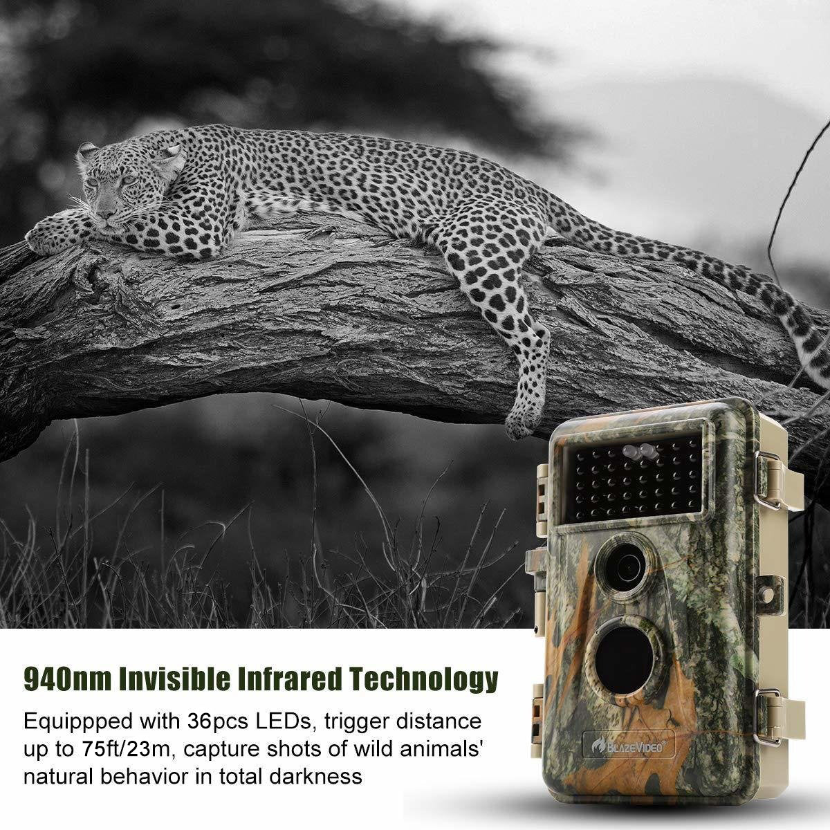 Austraian Game Cameras for Sale, Game Trail Cameras by Blaze Video