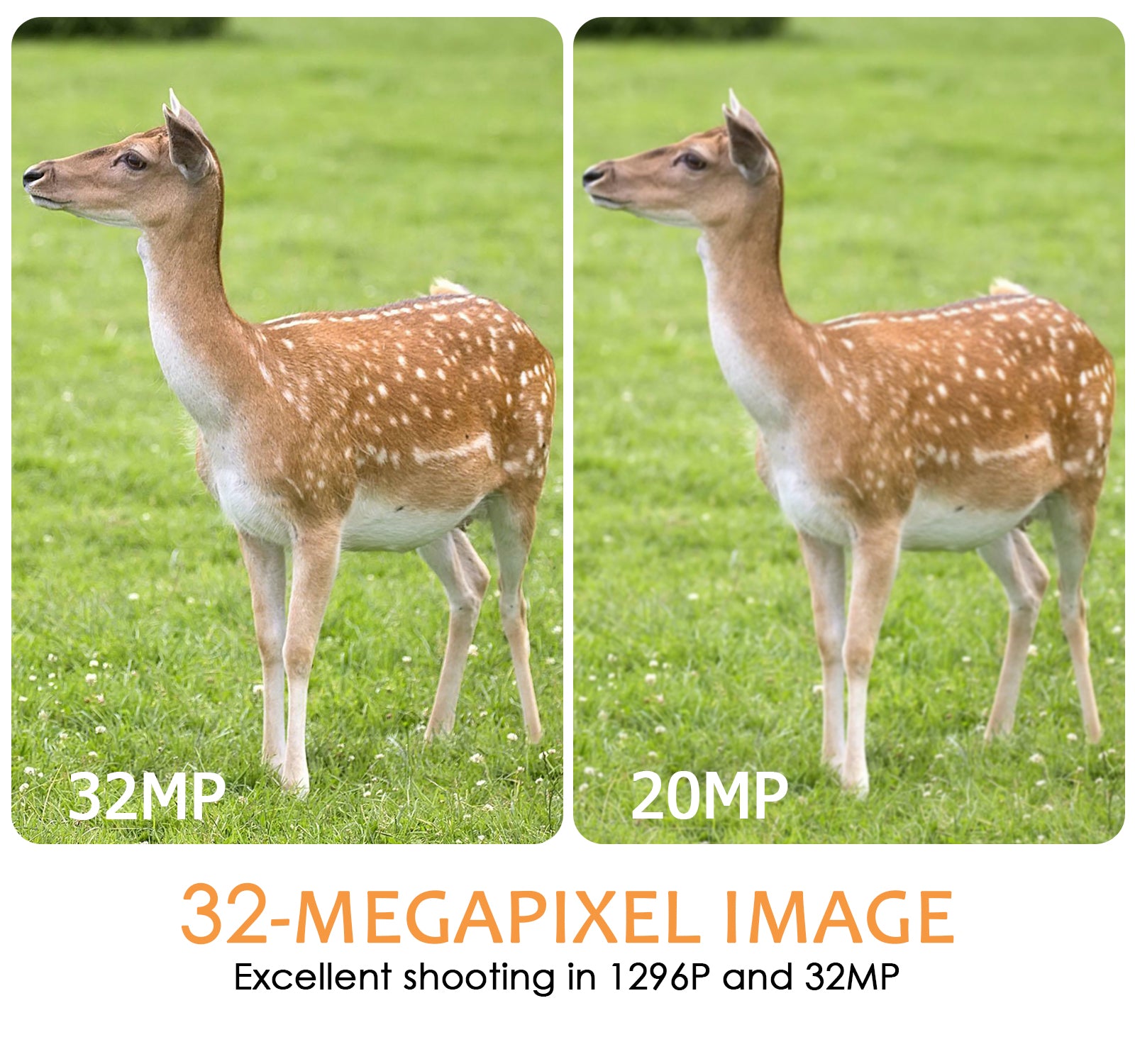 Bundle of Solar Panel and Bluetooth WIFI Trail Cameras 32MP 1296P with