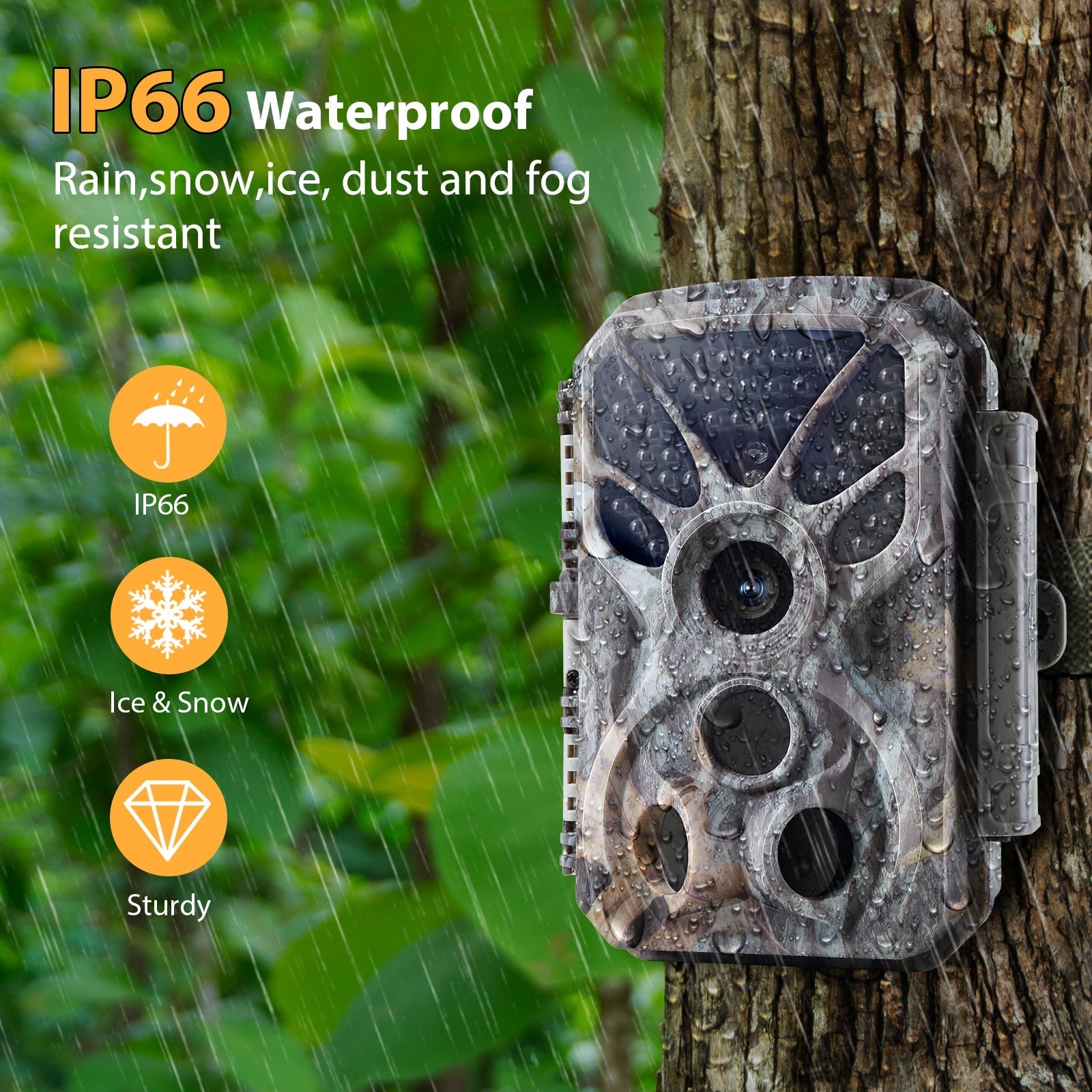 BlazeVideo Australia | Outdoor Trail & Security Cameras