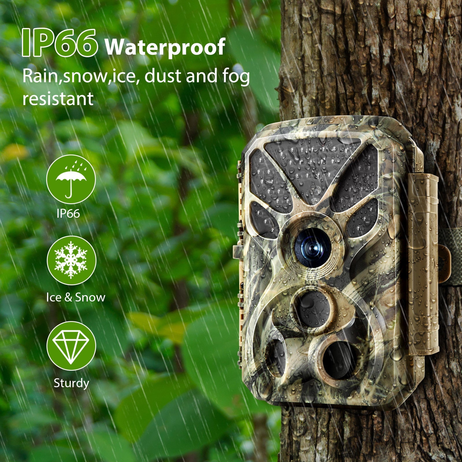 BlazeVideo Australia | Outdoor Trail & Security Cameras